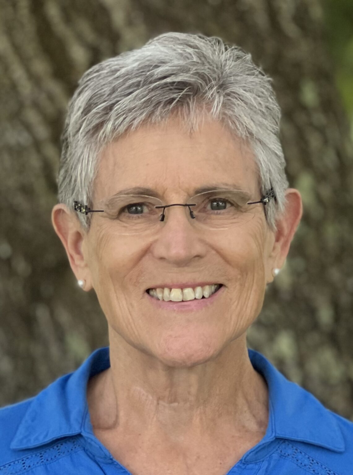 About – Altrusa International District Three